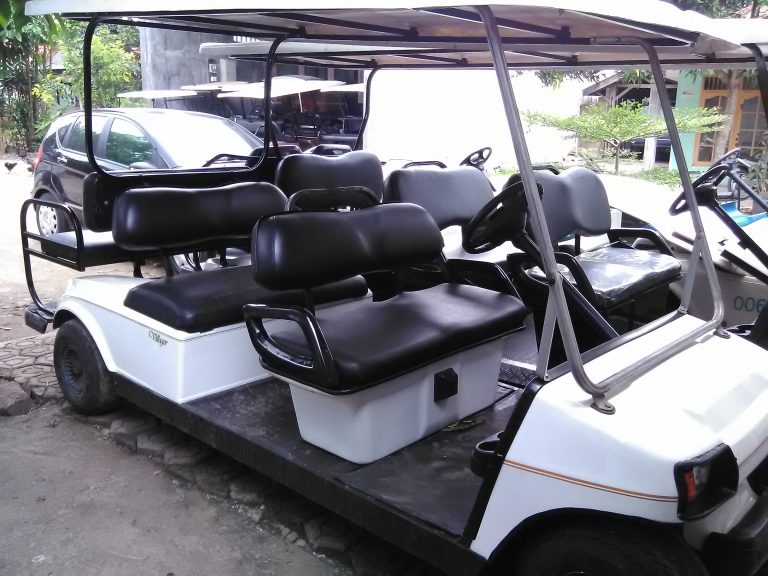Jual Buggy Car Jakarta — Mobil Golf - PT Riasta Buana Restu : Mobil ...